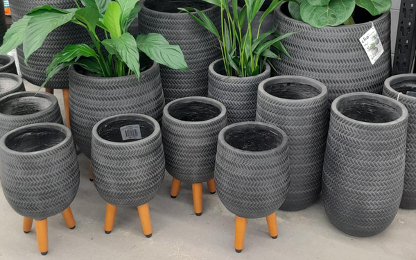 Pots for Indoor Plants | Stylish & Durable | The Grow Centre