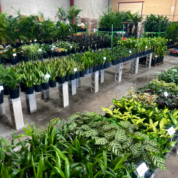 Store Locations | The Grow Centre