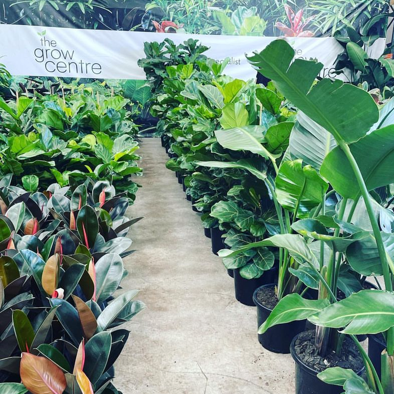 Store Locations | The Grow Centre