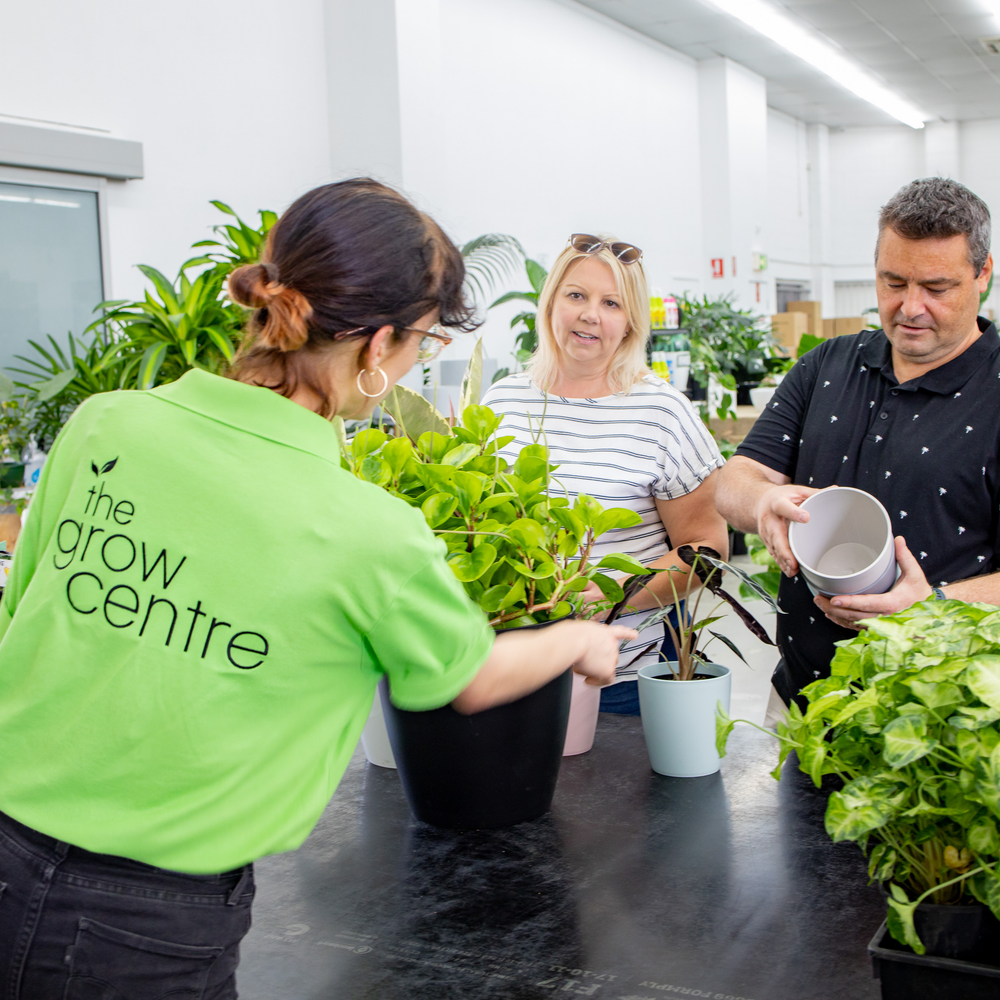 Store Locations | The Grow Centre