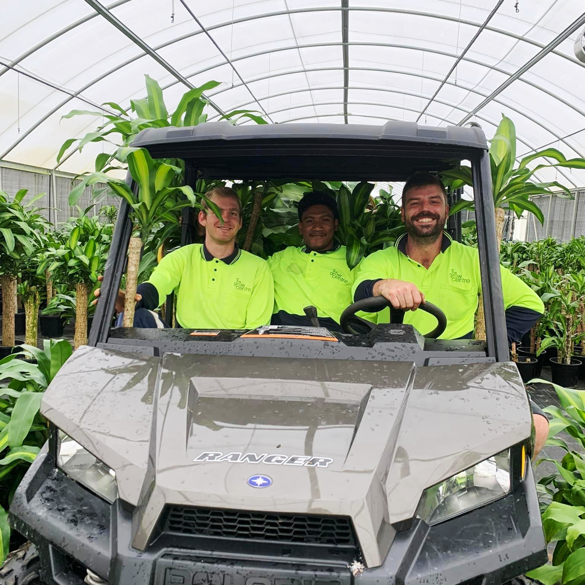 Wholesale Plants & Pots | Bulk Supply | The Grow Centre