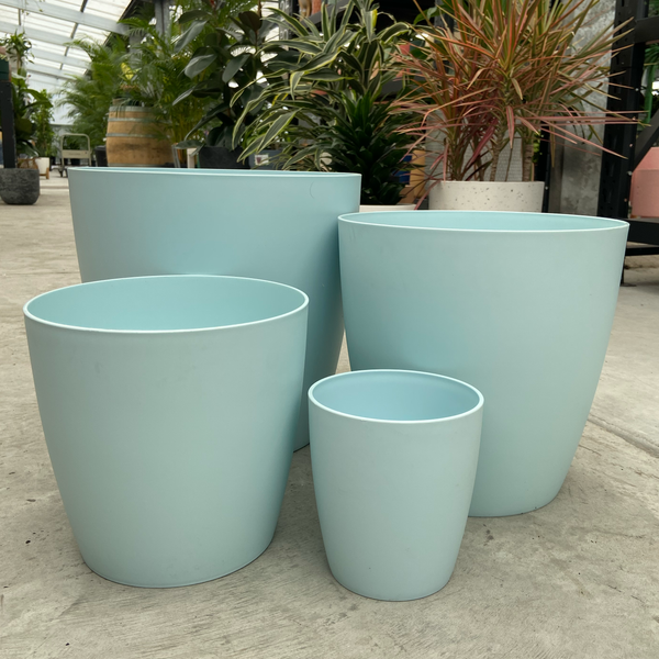 Pots for Indoor Plants | Stylish & Durable | The Grow Centre